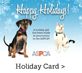 Memorial Gifts | Tribute Donations| Send a Card | ASPCA