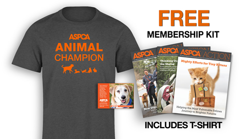 Become an ASPCA Guardian | ASPCA