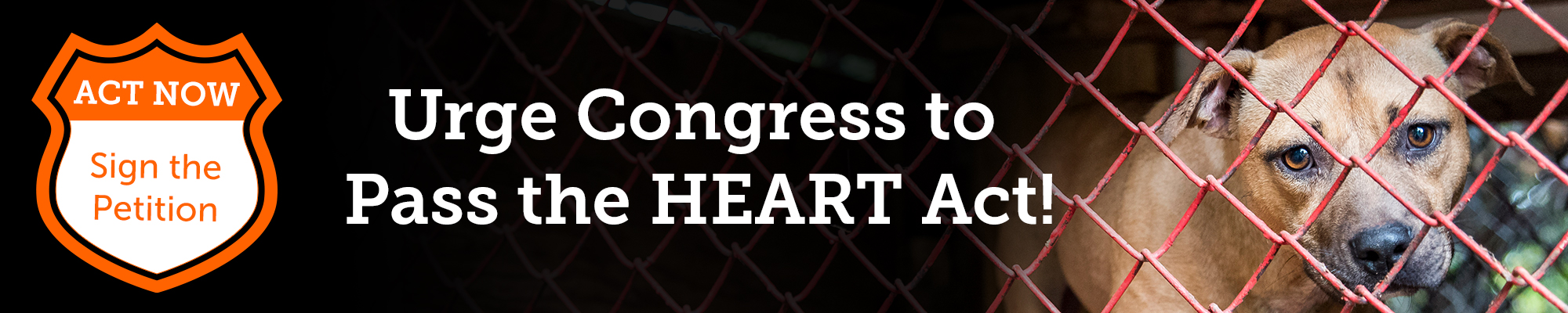 Urge Congress to Pass the HEART Act! | ASPCA Urge Congress to Pass the HEART Act! | ASPCA