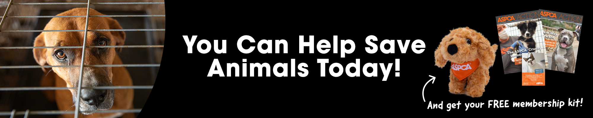 You Can Help Save Animals Today! | ASPCA