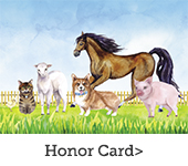 Memorial Gifts | Tribute Donations| Send a Card | ASPCA