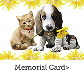 Birthday Gifts l Send A Card | Donate l Ways To Give l ASPCA