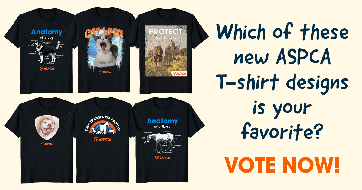Which of these new ASPCA T-shirt designs is your favorite? VOTE NOW ...