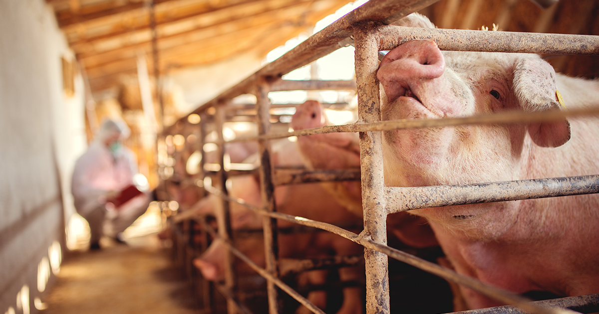 Tell Trader Joe's, Winn-Dixie, Piggly Wiggly and Save A Lot to Stop ...