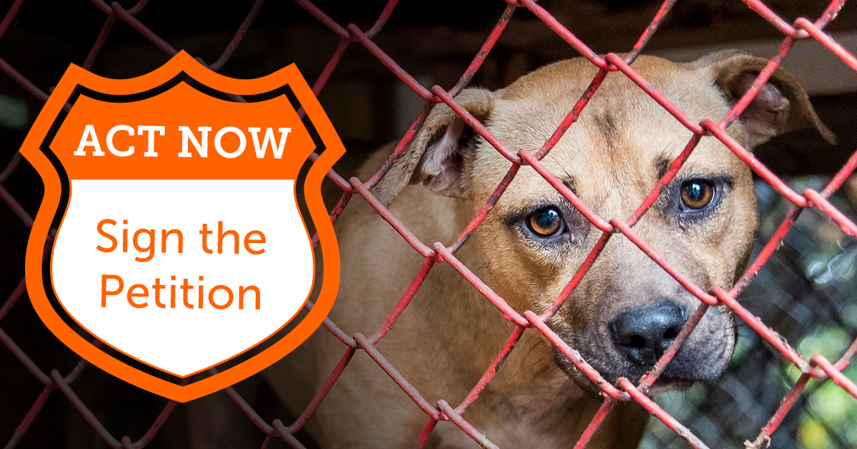 Urge Congress to Pass the HEART Act! | ASPCA Urge Congress to Pass the HEART Act! | ASPCA